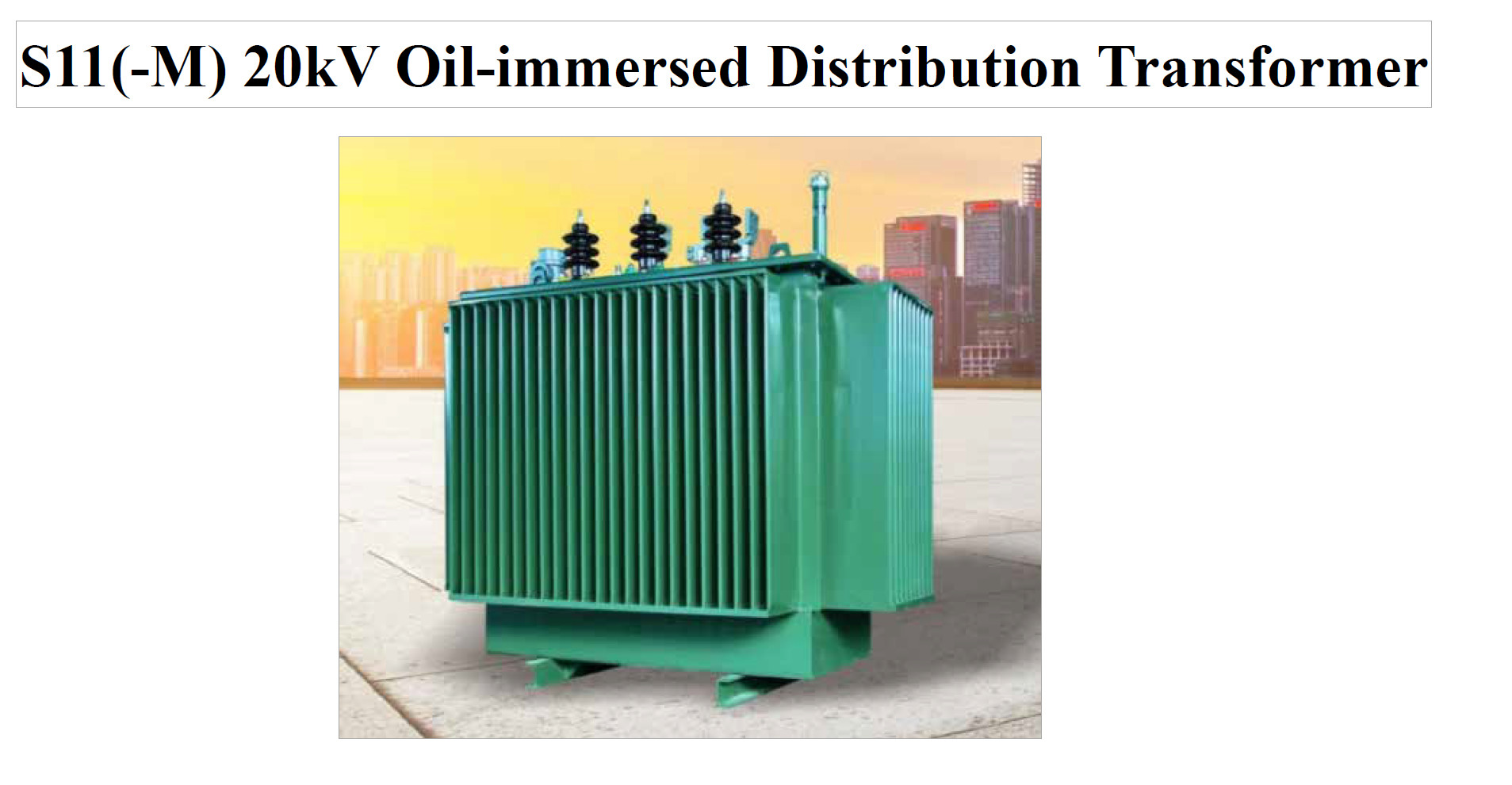 20kV Oil-immersed Distribution Transformer